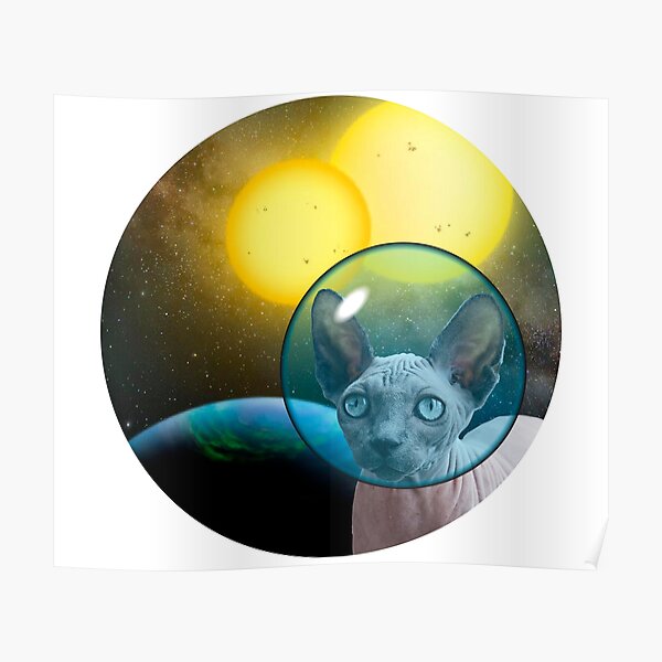 "Outer space Sphynx cat" Poster for Sale by Aliruc25 | Redbubble
