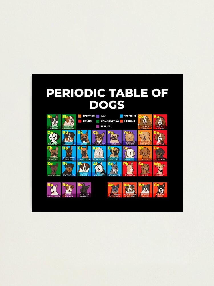 "Periodic Table of Dogs, Dog Lover, Funny Science" Photographic Print ...