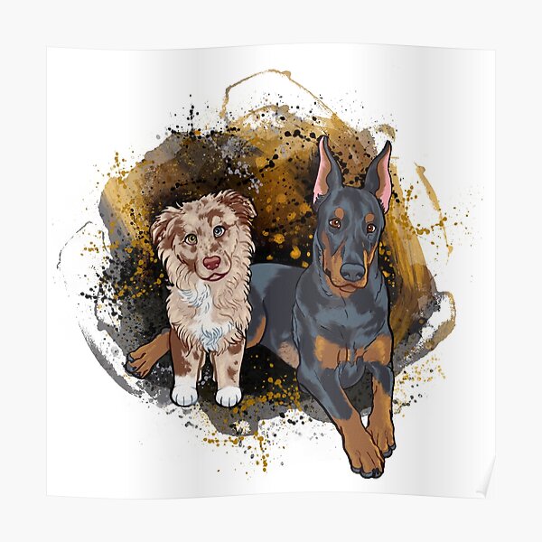 "Red Merle Australian shepherd and Doberman Pinscher watercolor" Poster ...