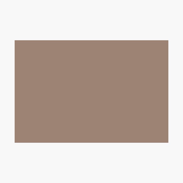 Lámina fotográfica «Tortilla calentada Tono medio Taupe Color sólido Un ...