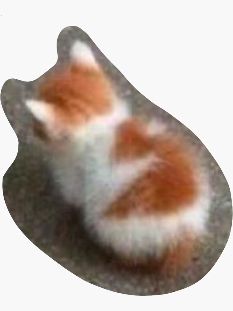 "Cat sad meme sticker" Sticker for Sale by horizonlily | Redbubble