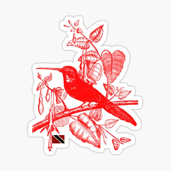 "Humming Trini" Sticker for Sale by Design-Koncepts | Redbubble