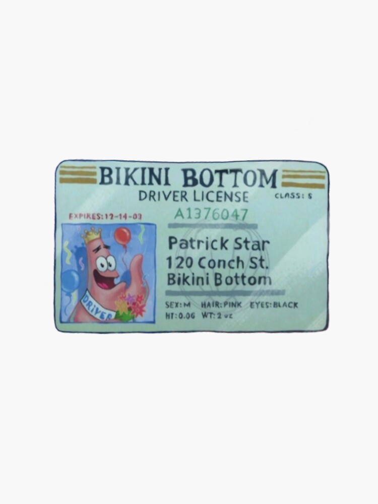 Pegatina «Licencia de conducir de Patrick Star» de litalstickers ...