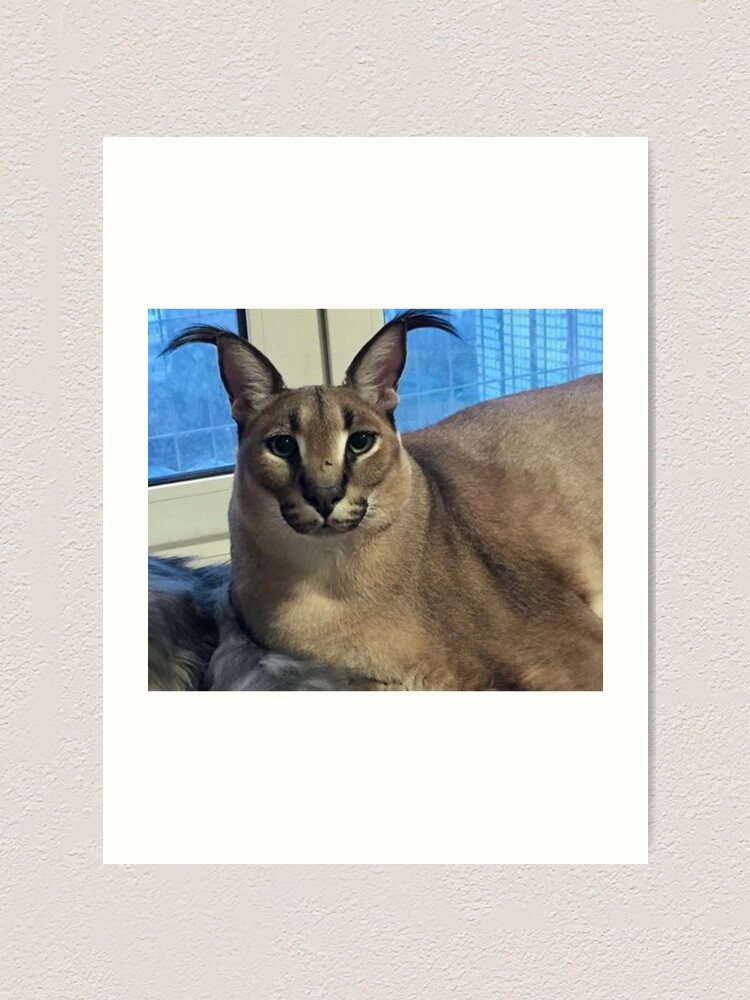 "Funny Big Floppa Cat Meme" Art Print for Sale by Anas777 | Redbubble
