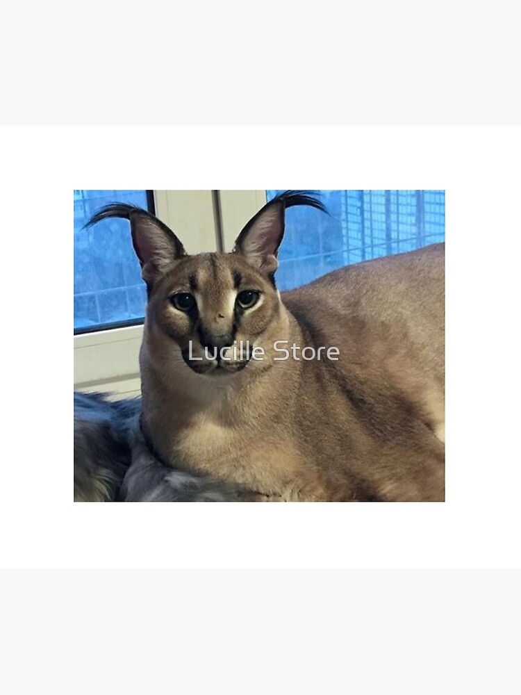 "Funny Big Floppa Cat Meme" Throw Blanket for Sale by Anas777 | Redbubble