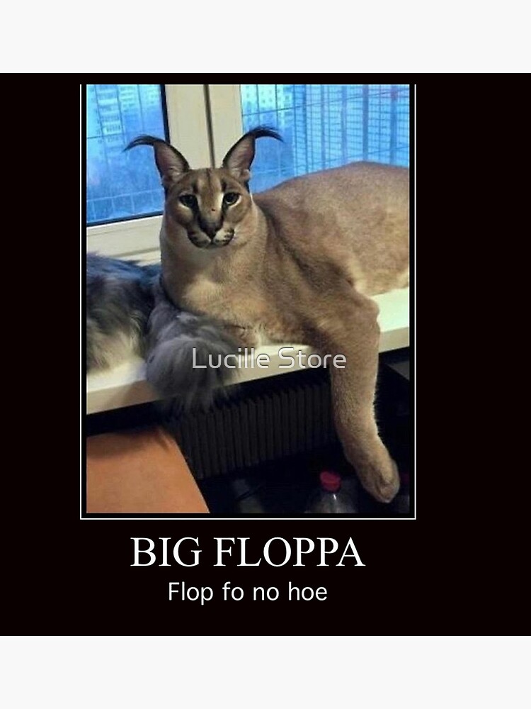 "Funny Big Floppa Flop Fo No Hoe Cat Meme " Canvas Print by Anas777 ...