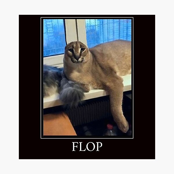 "Funny Big Floppa Flop Cat Meme" Photographic Print for Sale by Anas777 ...