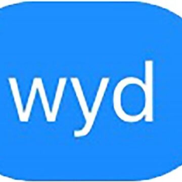 "wyd text message" Sticker for Sale by arishatz | Redbubble