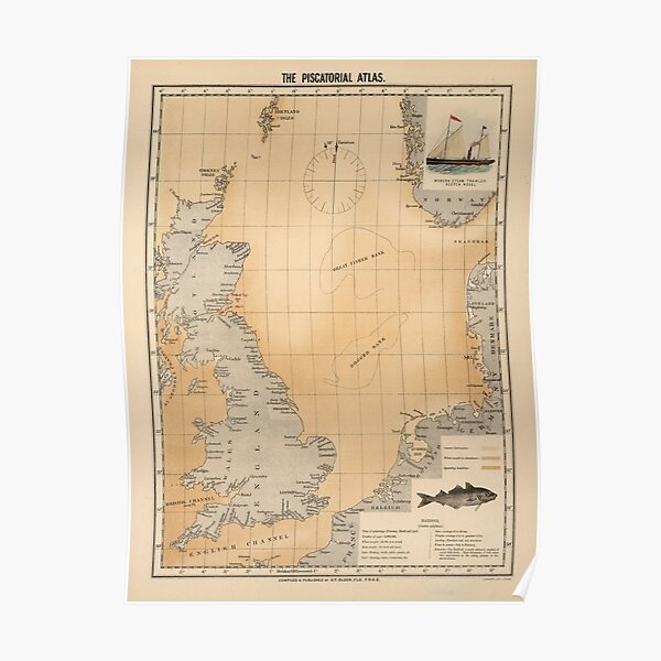 "Old English Channel Haddock Concentration Areas Map (1883) Vintage ...