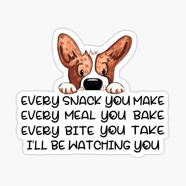 "Dog - Every Snack you Make " Sticker for Sale by LeHongTien | Redbubble