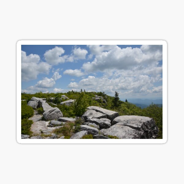"Bear Rocks" Sticker for Sale by ArtistryPix | Redbubble