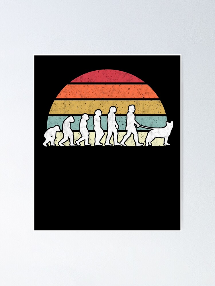 "Australian Cattle Dog Evolution Cattle Dog Vintage" Poster for Sale by ...
