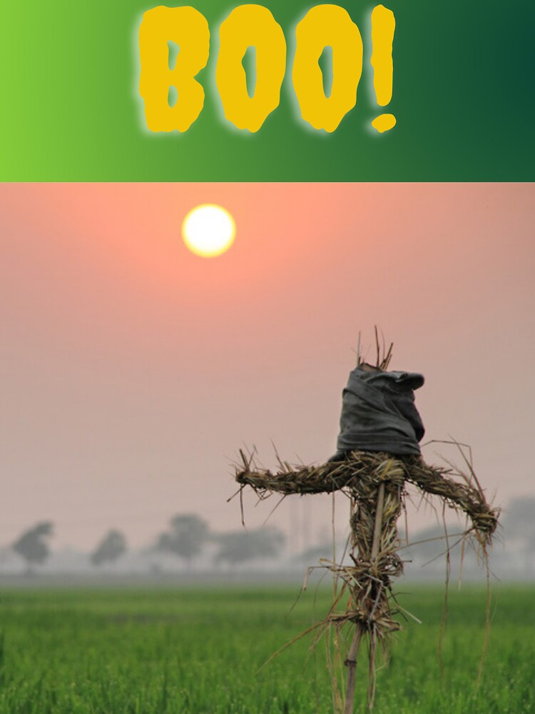 "Boo! Spooky, Scary and Fun!" Sticker for Sale by AdnaanS1 | Redbubble