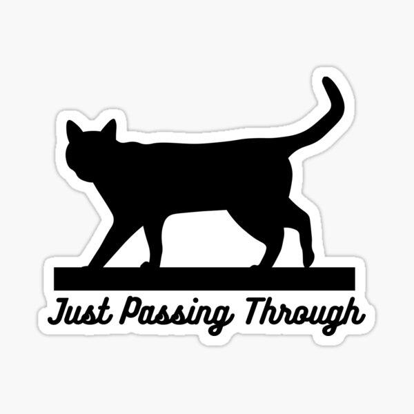 Just Passing Through Stickers | Redbubble