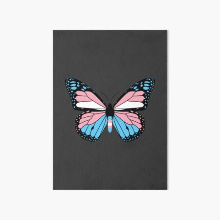 "Trans Butterfly Pride Gift, Transgender Colorful Monarch Butterfly, Transexual Insects LGBT+ ...
