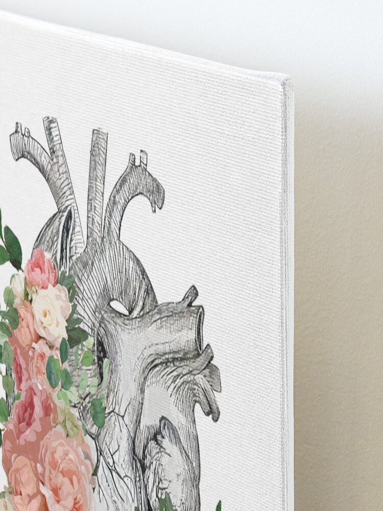 Lámina montada «Corazón humano y rosas, arte de ilustración de anatomía ...