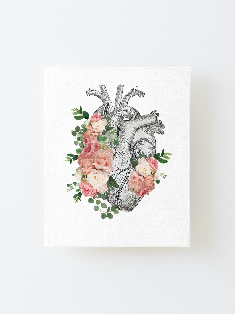 Lámina montada «Corazón humano y rosas, arte de ilustración de anatomía ...
