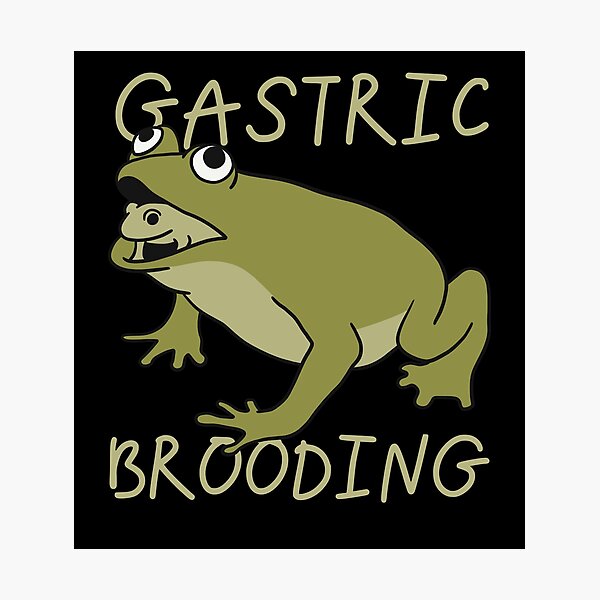 "Gastric Brooding Frog" Photographic Print for Sale by isstgeschichte ...
