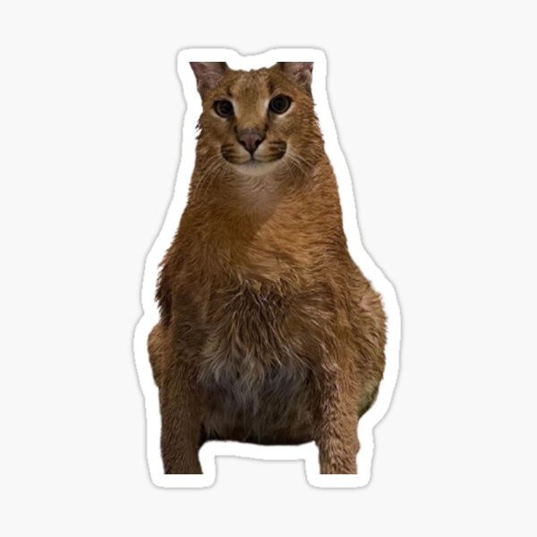 Big Floppa Gifts & Merchandise | Redbubble