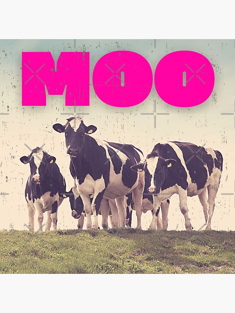 "MOO - Cows Album Cover" Sticker for Sale by Banjoseph | Redbubble