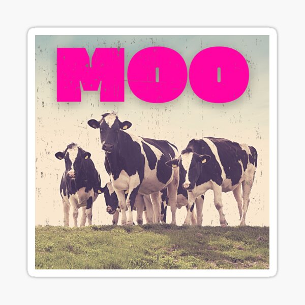 "MOO - Cows Album Cover" Sticker for Sale by Banjoseph | Redbubble