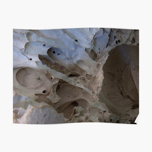 "Abstract Bone" Poster by xElenoiRx | Redbubble