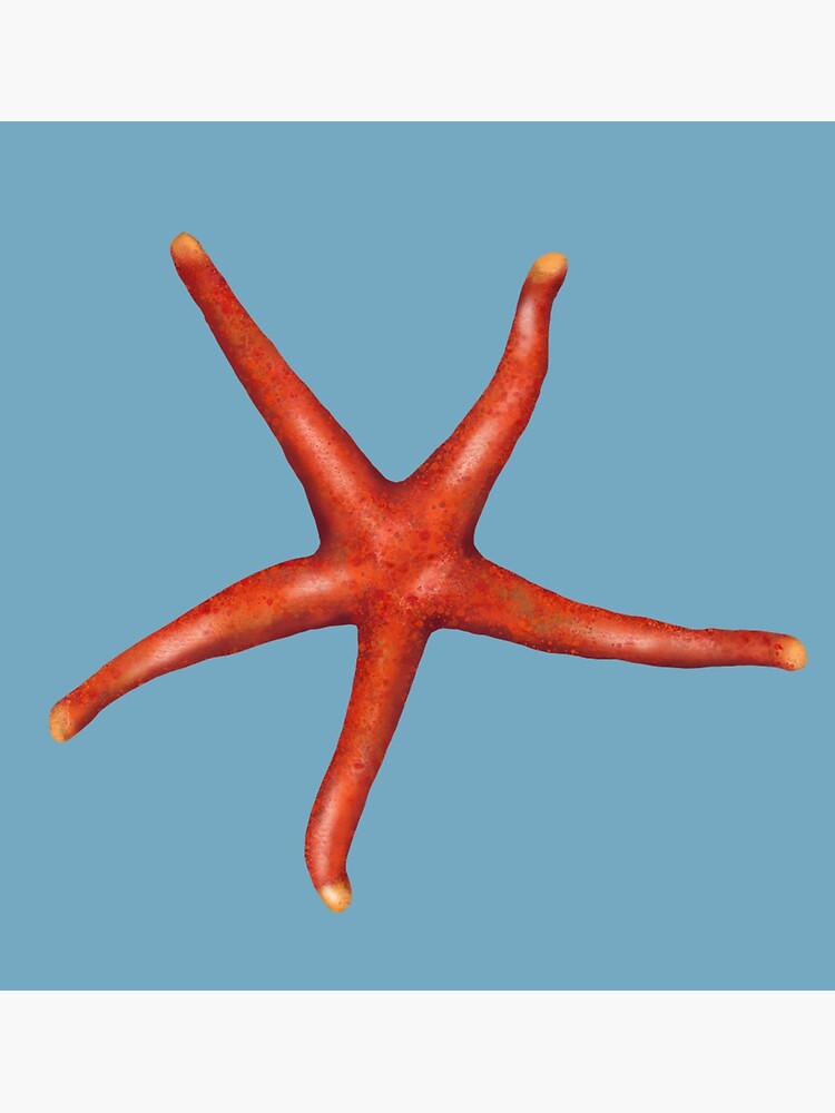 "Blood Sea Star" Poster by Squiddllr | Redbubble