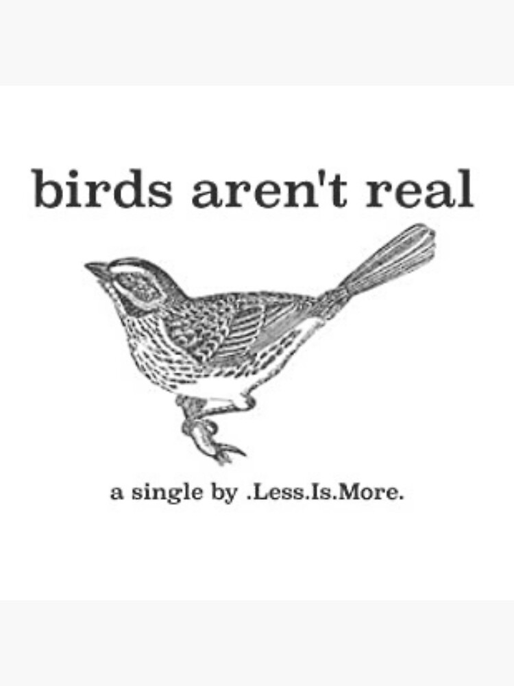 "Birds are not real" Sticker for Sale by AhmedXhah | Redbubble