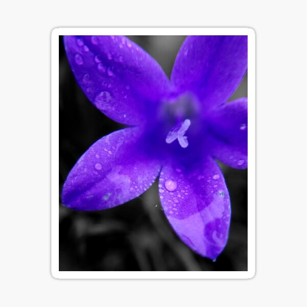 "Neon Purple Flower" Sticker for Sale by MyMacros | Redbubble