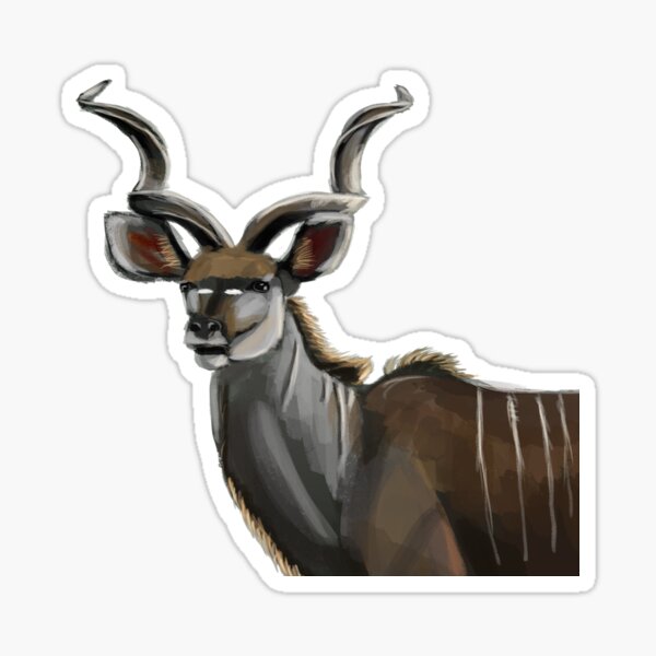 "Greater Kudu" Sticker for Sale by Emma-Kessed | Redbubble
