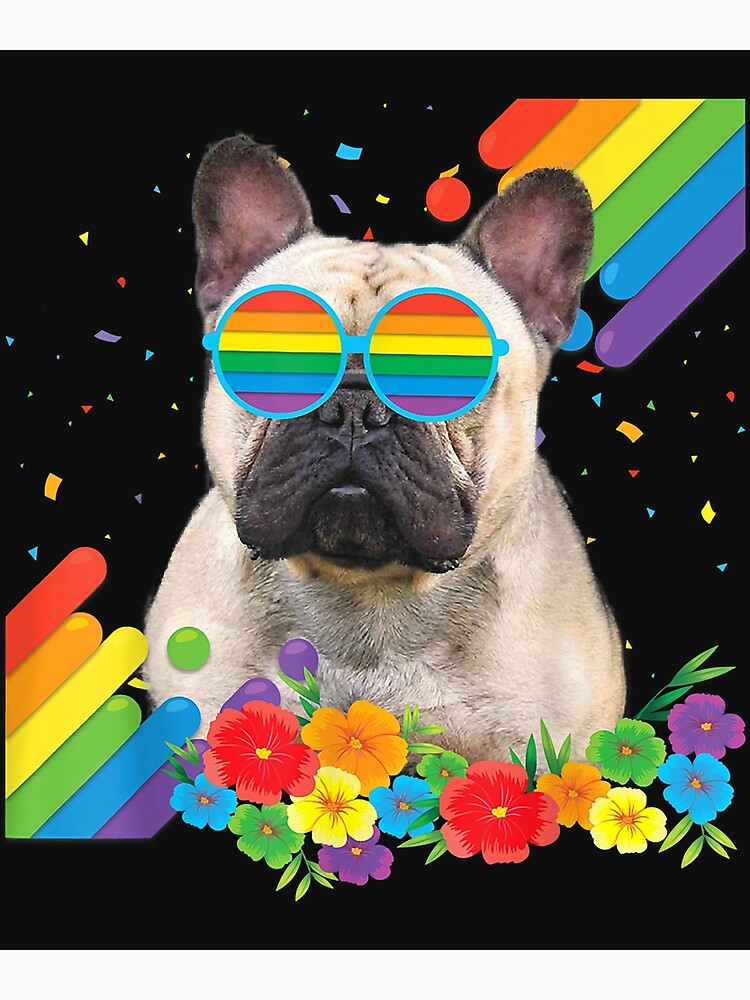 Póster «Orgulloso LGBT Gay Bulldog Francés Perro Orgullo Bandera Arco ...