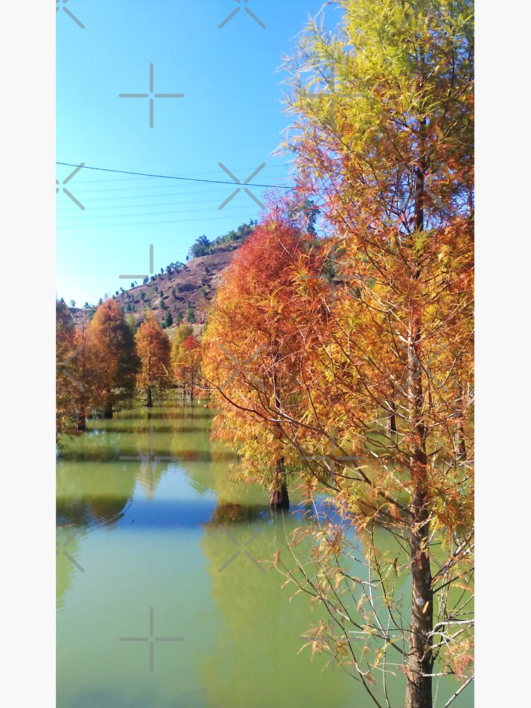 "Larix Pine Trees Scenery" Sticker for Sale by lazyrootz | Redbubble