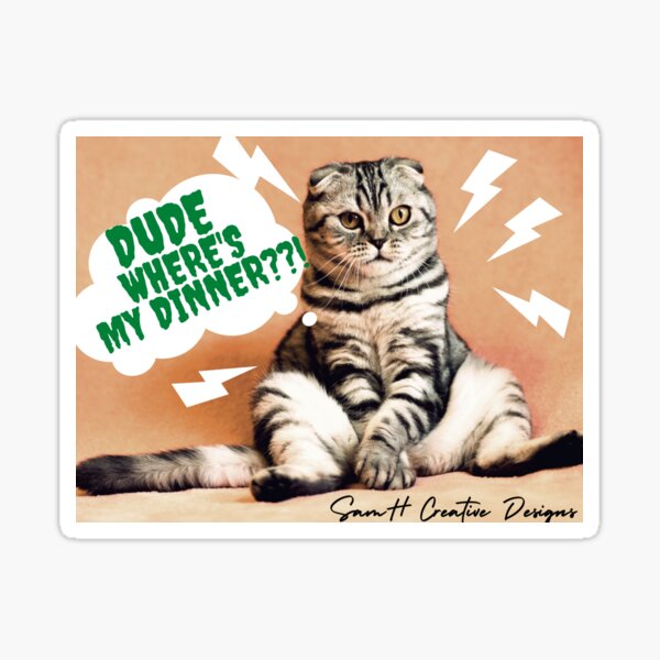 "Angry Cat, cool designs, cat lovers, funny t shirts, funny cats ...