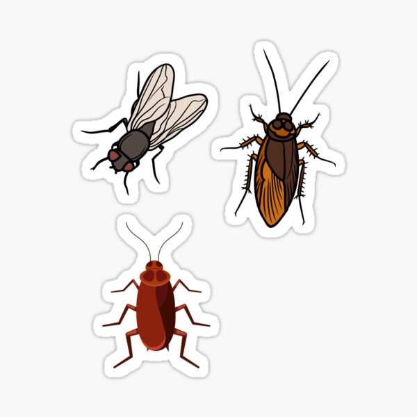 "Cockroach Sticker Best Friend Gift Realistic Decals" Sticker for Sale ...