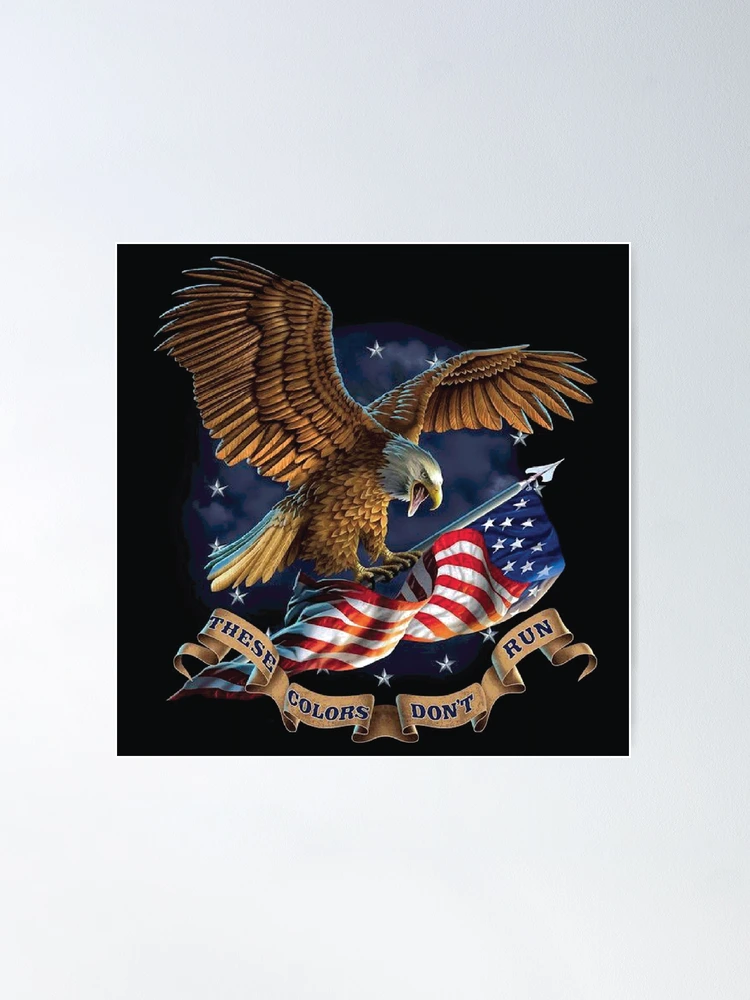American Bald Eagle Colors American Bald Eagle Bird AI Generated Image