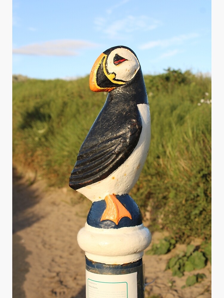 "Puffin statue " Poster by Orchardphotos | Redbubble