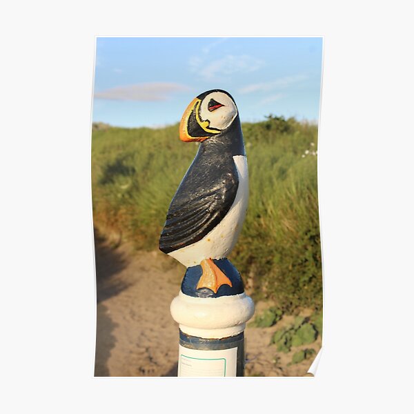 "Puffin statue " Poster by Orchardphotos | Redbubble