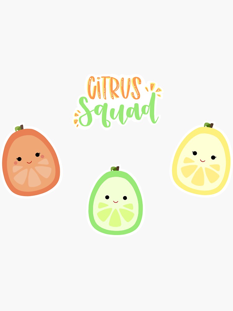 "Squishmallow Citrus Squad Sticker Pack" Sticker for Sale by ...