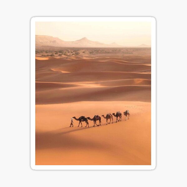 "sahara desert" Sticker for Sale by omardaoudi | Redbubble