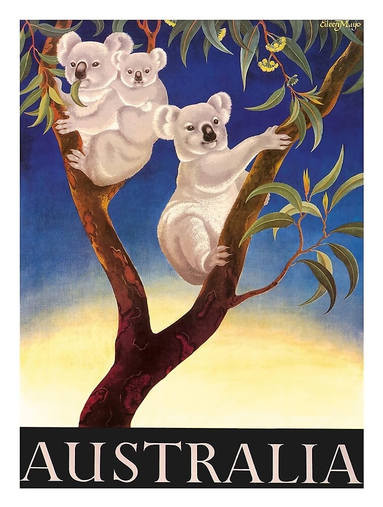 "1956 Australia Koalas Travel Poster" by retrographics | Redbubble