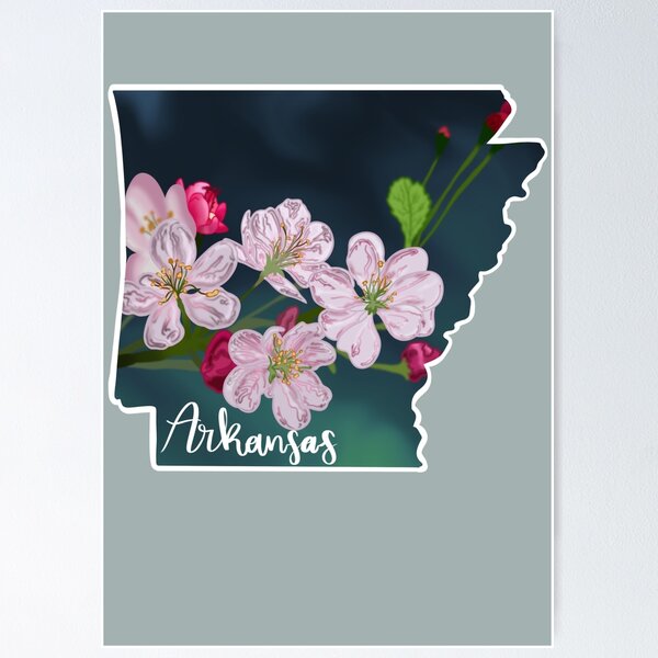 "Arkansas state flower " Poster for Sale by DancingGBean | Redbubble