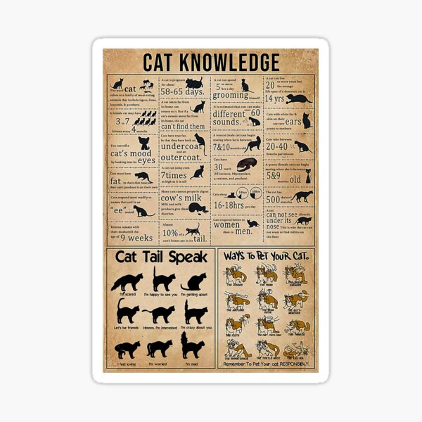 "Cat Knowledge Poster" Sticker for Sale by ciskajocelyn | Redbubble