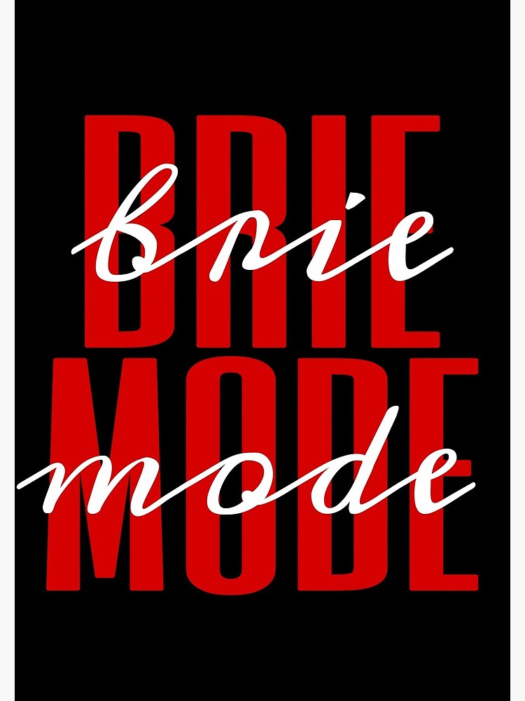 "WWE BRIE BELLA BRIE MODE DESIGN" Journal for Sale by TheAuthority ...