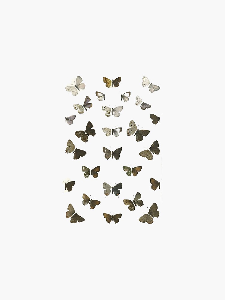 "27 mini butterflies sticker pack " Sticker for Sale by exr378 | Redbubble