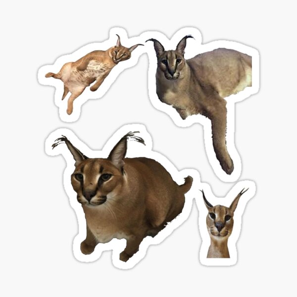 Floppa Gifts & Merchandise | Redbubble