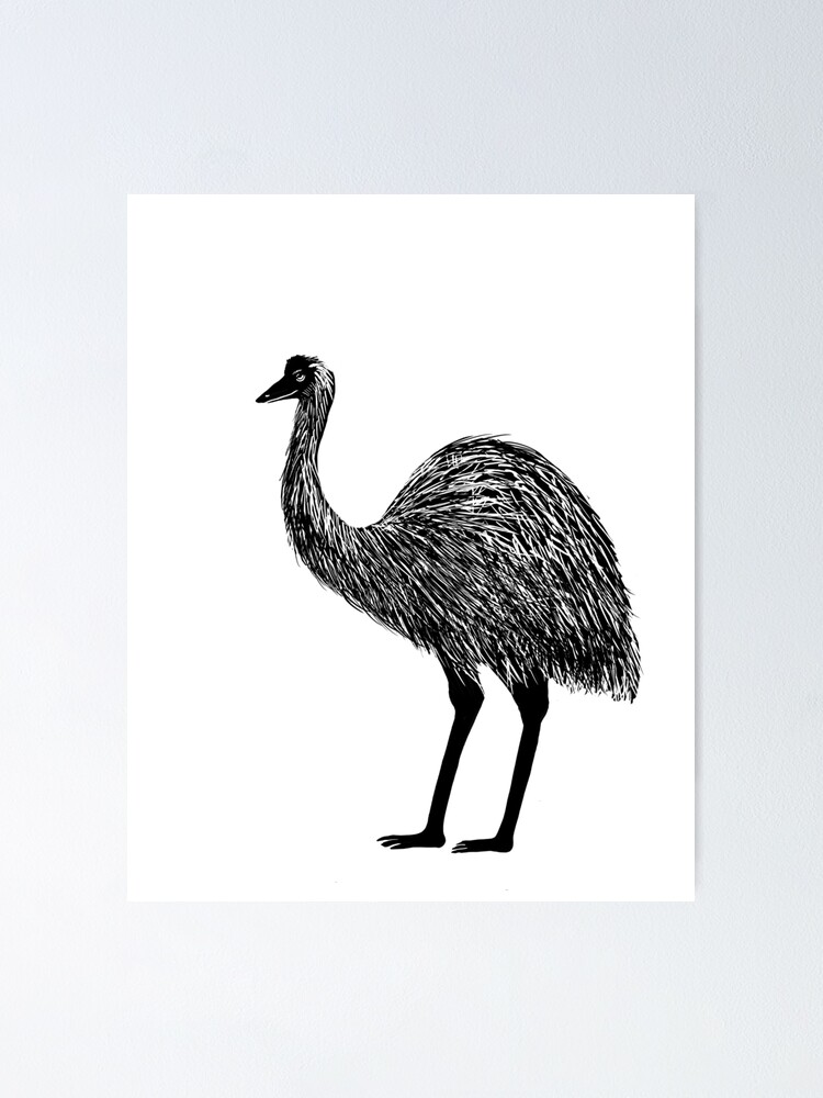 "Australischer Emu, Wildlife Schwarz-Weiß-minimalistischer moderner ...