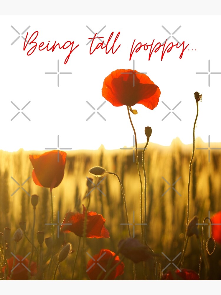 "Being tall poppy ... Tall poppy syndrome" Poster by HMadeArtSON ...