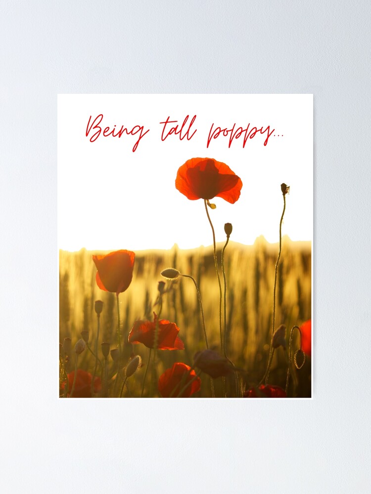 "Being tall poppy ... Tall poppy syndrome" Poster by HMadeArtSON ...