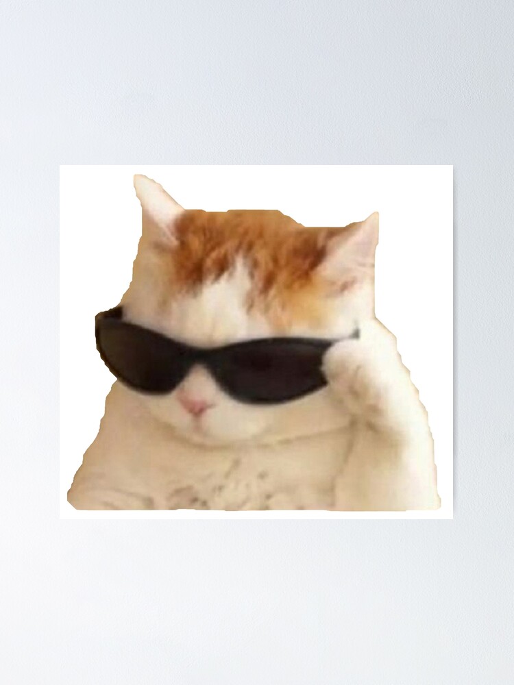 "Cats Meme Pack" Poster for Sale by Eleonoor | Redbubble