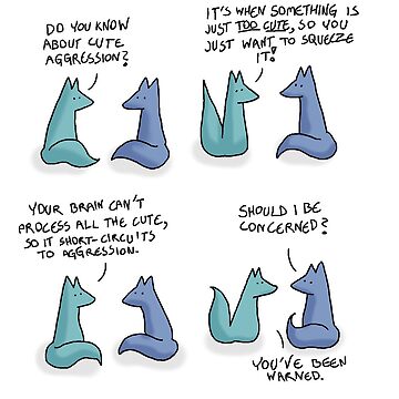 "Cute Aggression" Sticker for Sale by Foxes-in-Love | Redbubble